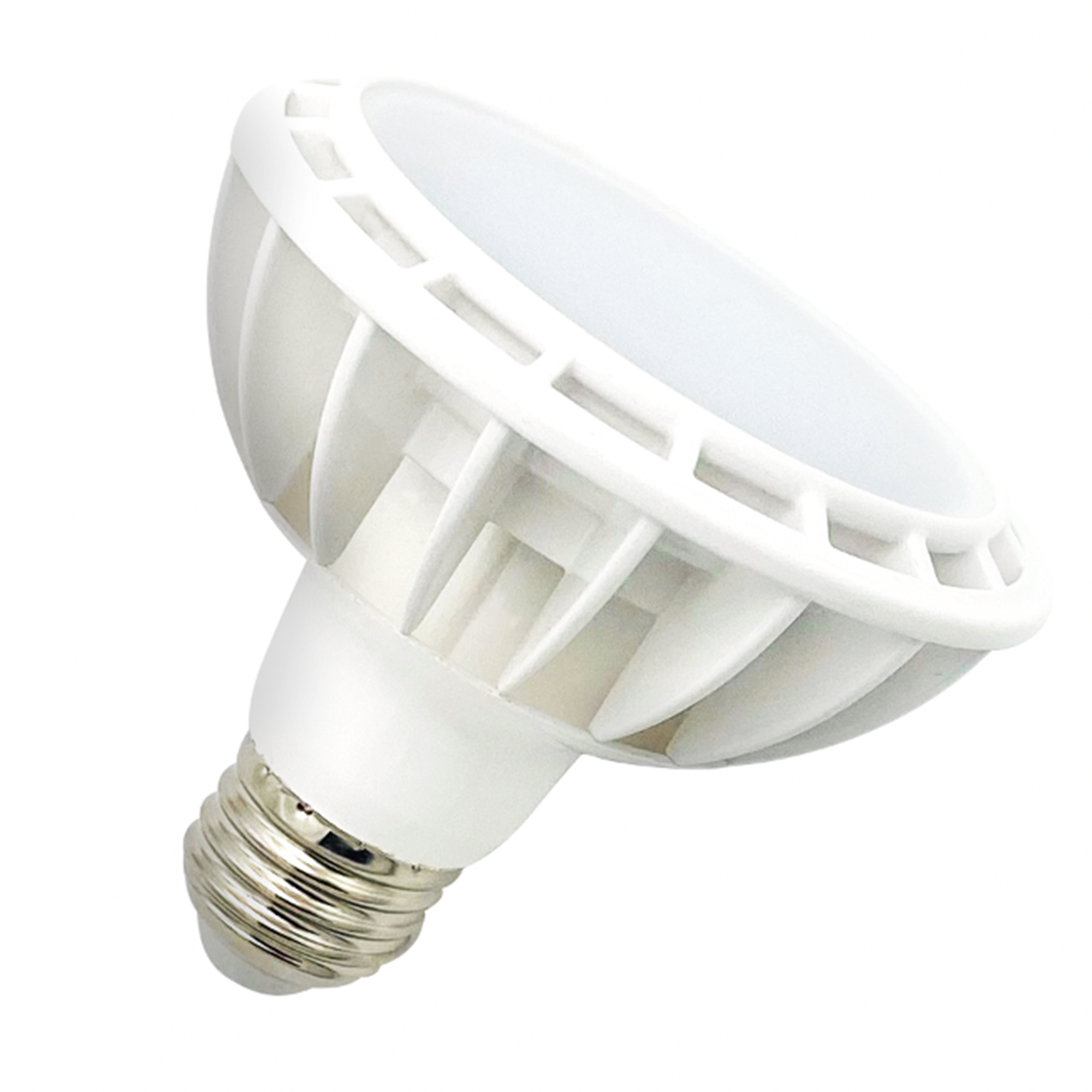 LED PAR30 [15W,디밍용]